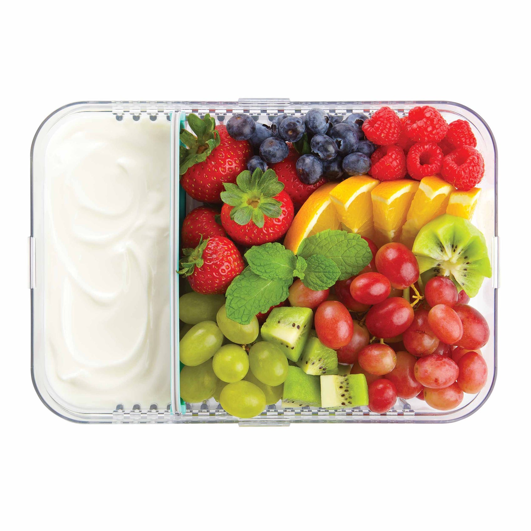 Large Bento Box | Shop Large Bento Boxes - PackIt